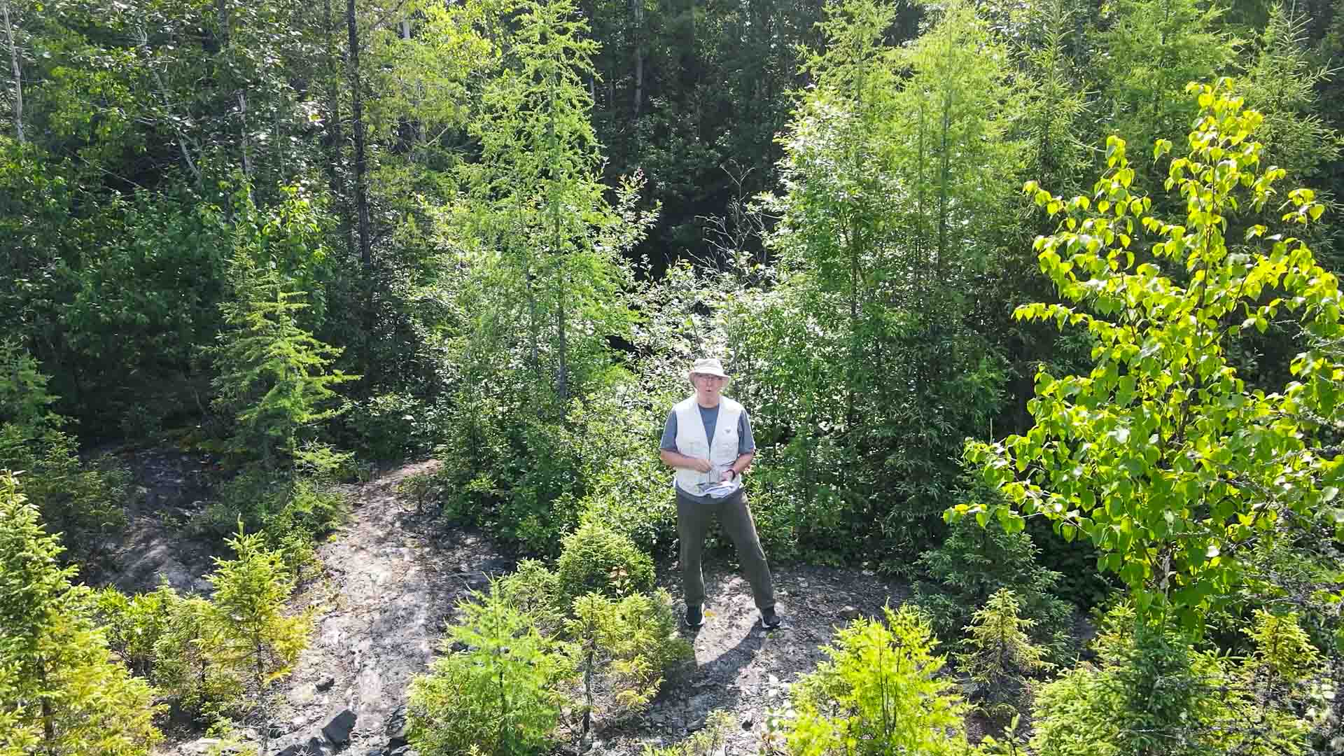 Mining Stock Daily & Cartier review 2025 and upcoming 2026 plans